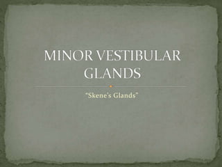 Skene’s gland anatomy and regulations and features | PPTX