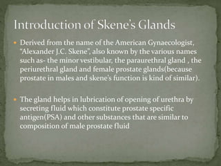 Skene’s gland anatomy and regulations and features | PPTX