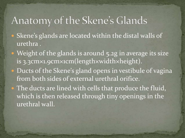 Skene’s gland anatomy and regulations and features | PPTX