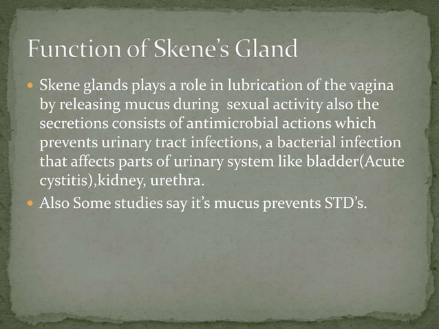 Skene’s gland anatomy and regulations and features | PPTX