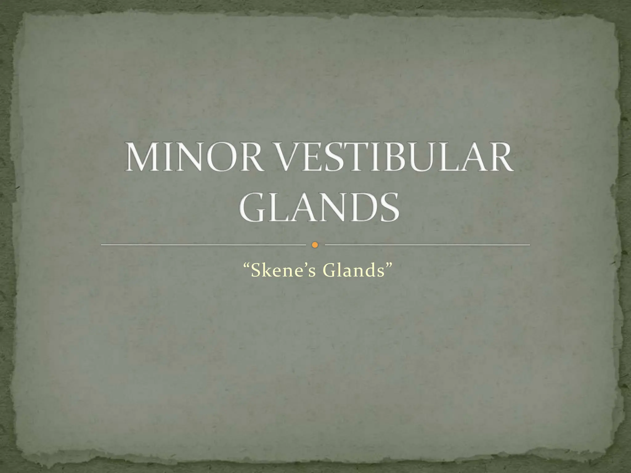 Skene’s gland anatomy features and functions | PPTX