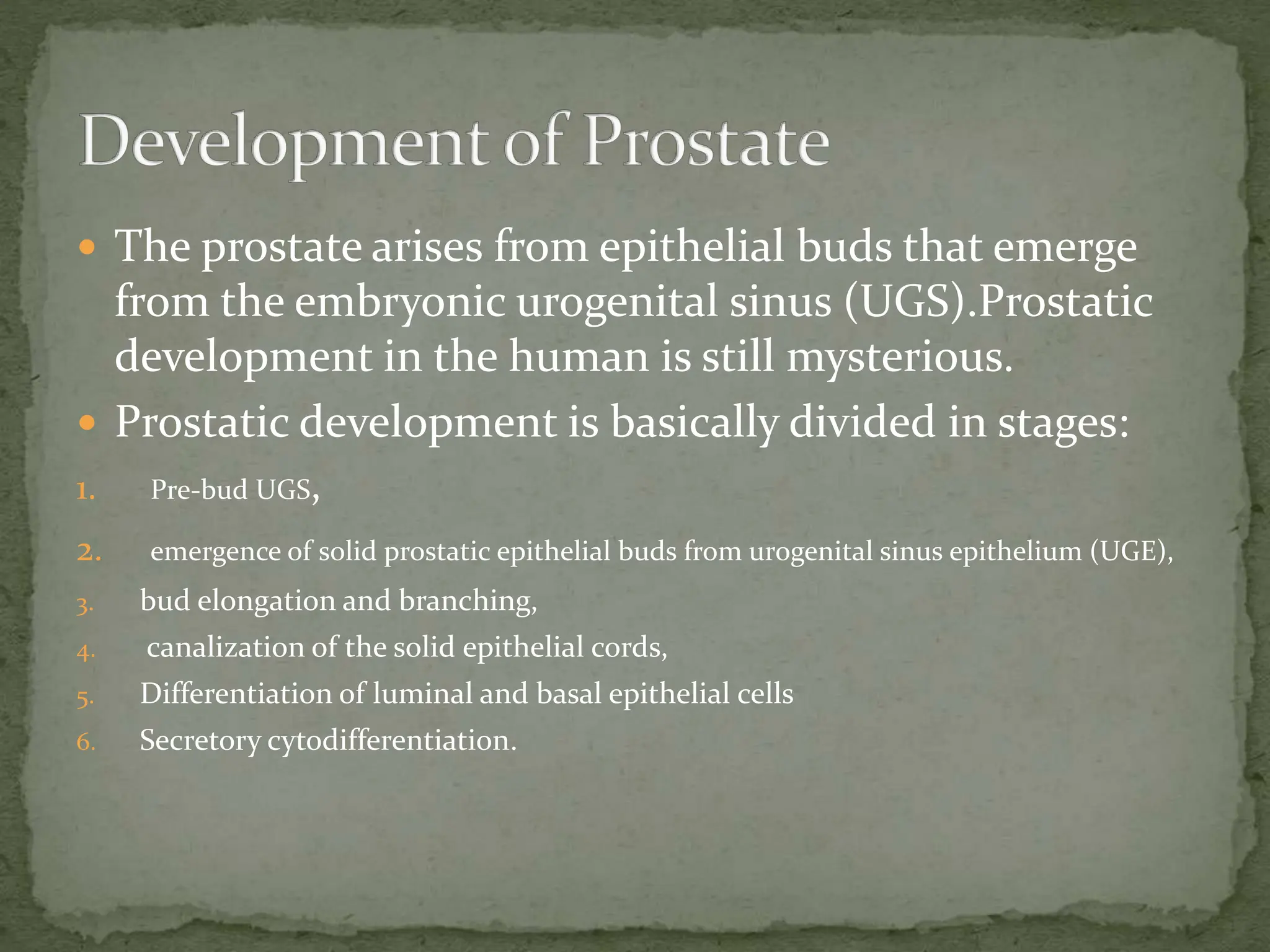 Skene’s gland anatomy features and functions | PPTX