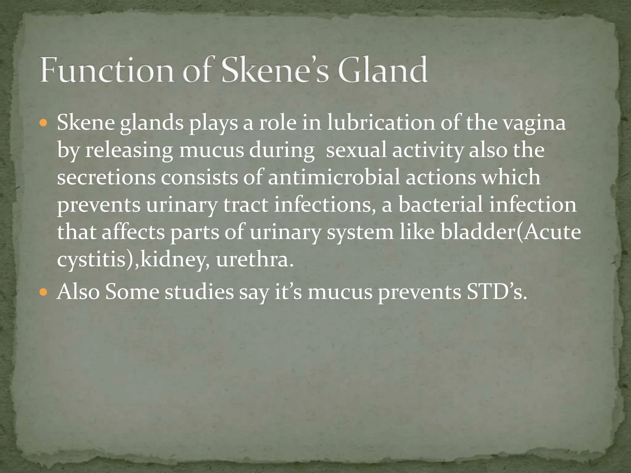 Skene’s gland anatomy features and functions | PPTX