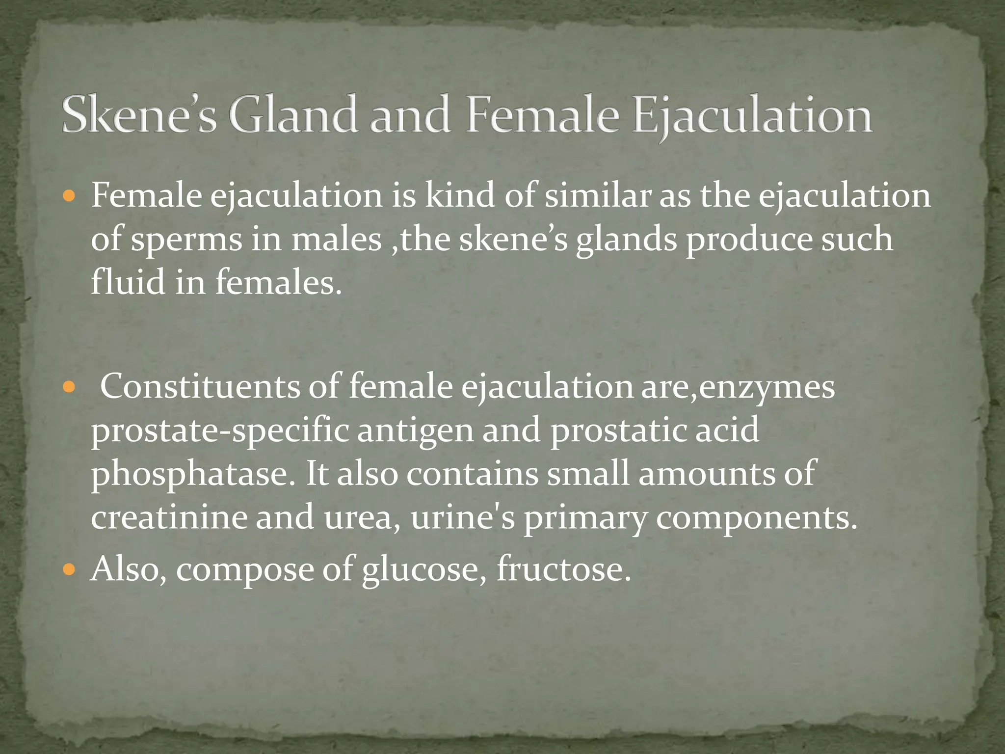 Skene’s gland anatomy features and functions | PPTX