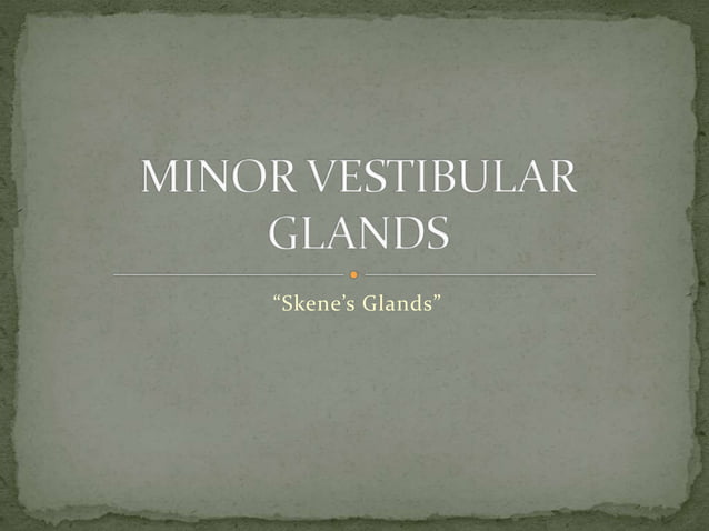 Skene’s gland anatomy features and functions | PPTX