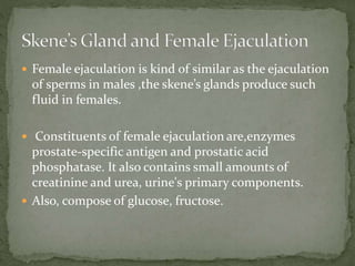 Skene’s gland anatomy features and functions | PPTX