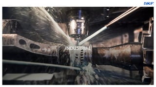 SKF You know what is the performance and what is ahead? | PPT