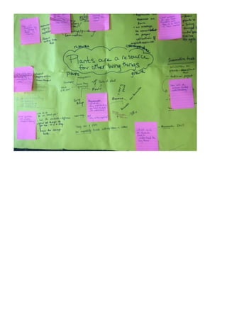 Skg grade 4 unit 3 big ideas | PDF