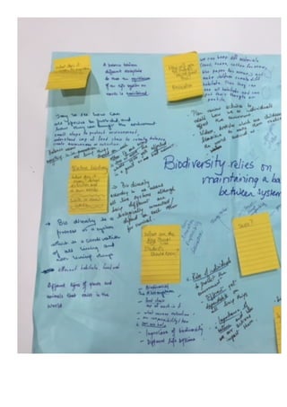 Skg grade 4 unit 3 big ideas | PDF