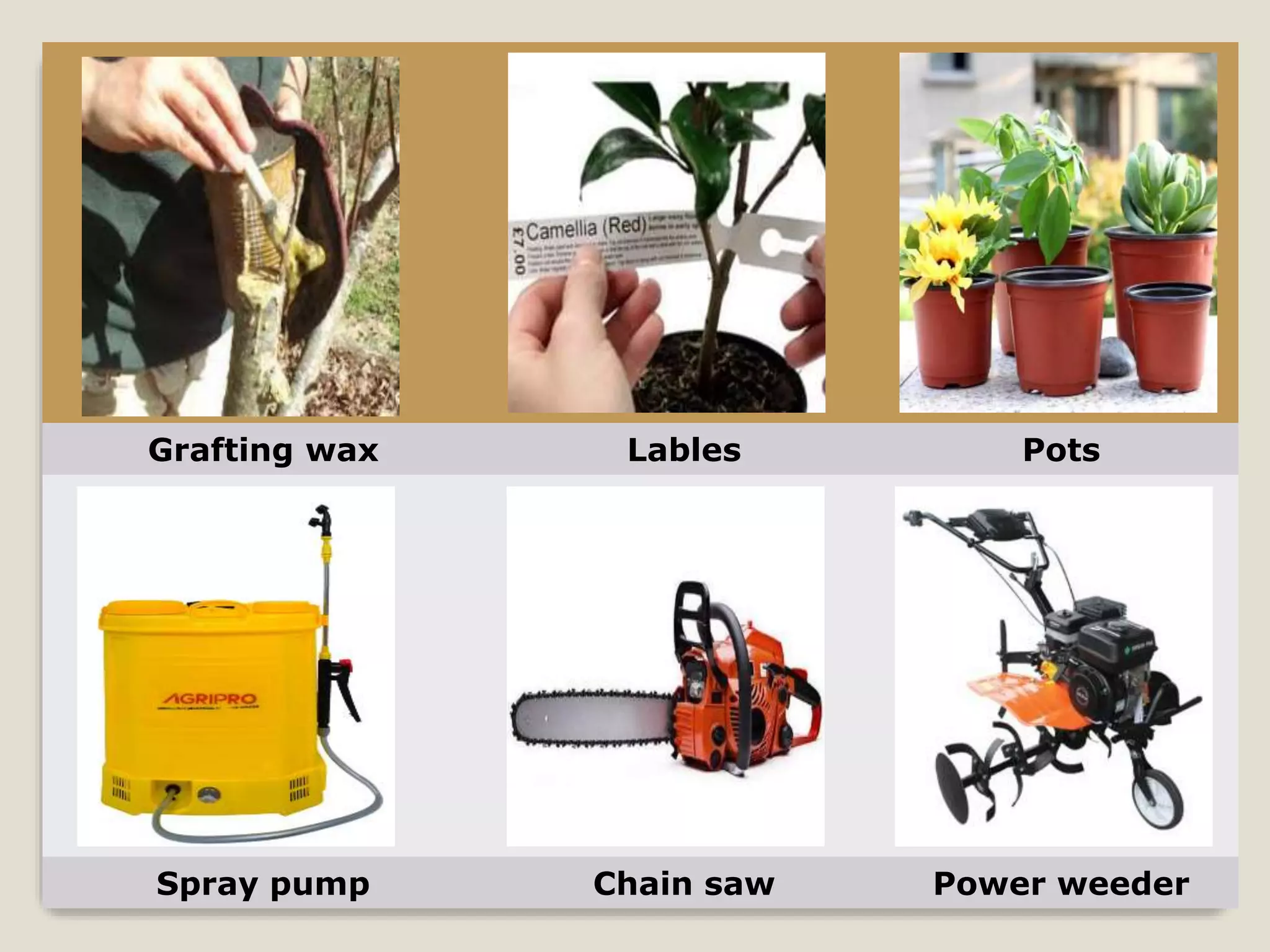 HORTICULTURAL TOOLS | PPT