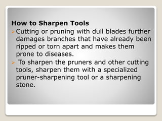 HORTICULTURAL TOOLS | PPTX