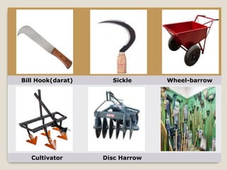 HORTICULTURAL TOOLS | PPTX