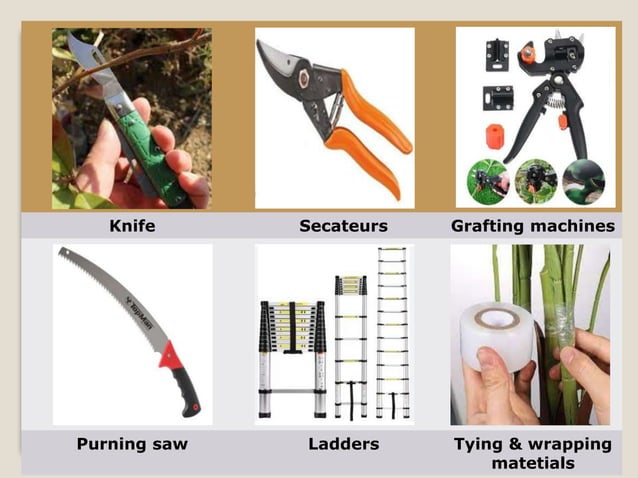 HORTICULTURAL TOOLS | PPT