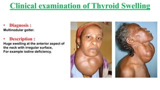 Skill lab endocrineology (hormonal panel with different clinical ...