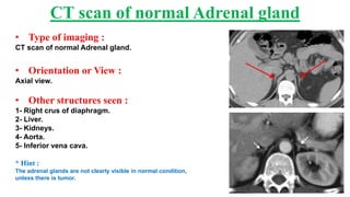 Skill lab endocrineology (hormonal panel with different clinical ...