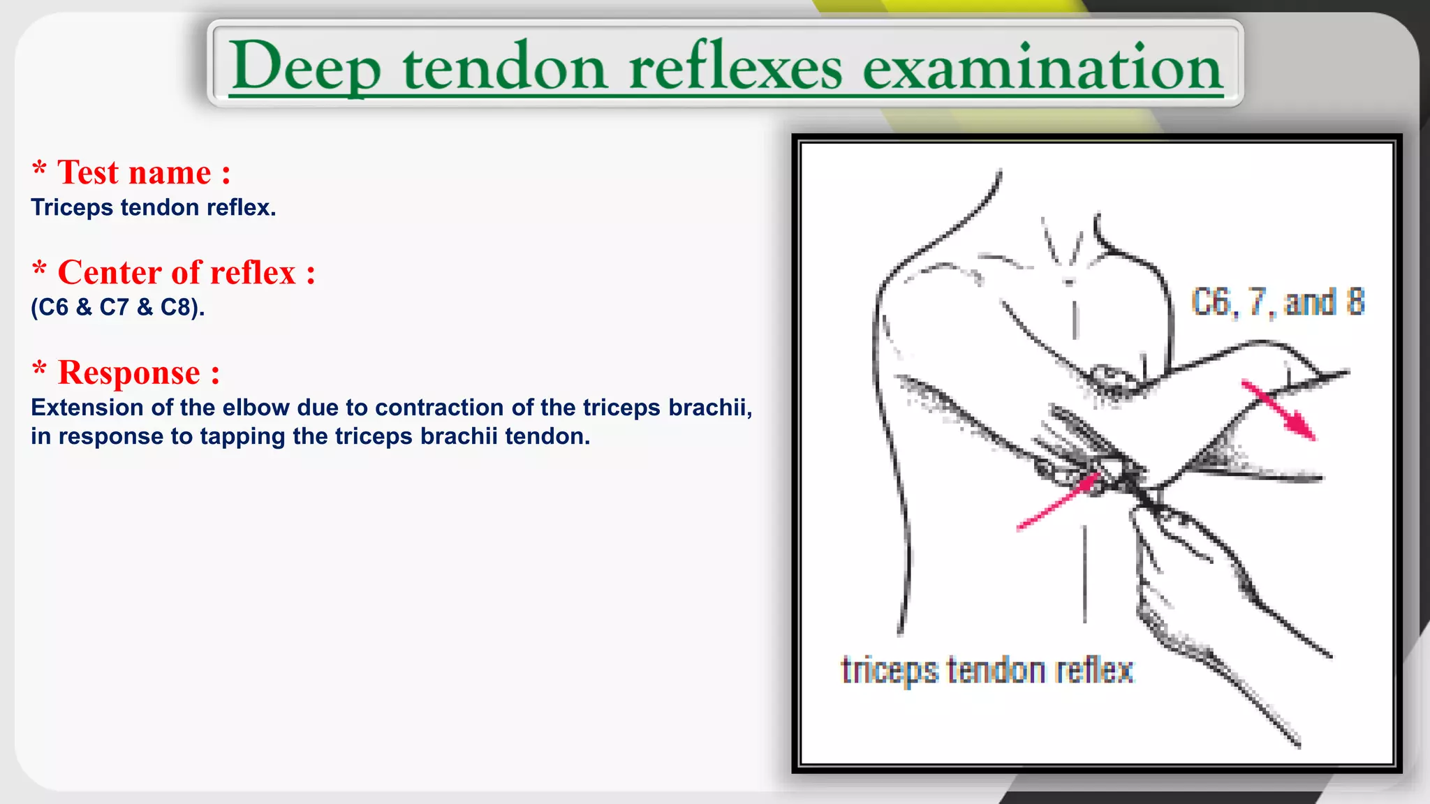 Skill lab physiology (motor examination tests) | PDF | Death, Injury ...