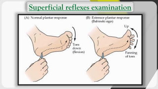 Skill lab physiology (motor examination tests) | PDF | Death, Injury ...