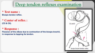 Skill lab physiology (motor examination tests) | PDF | Death, Injury ...