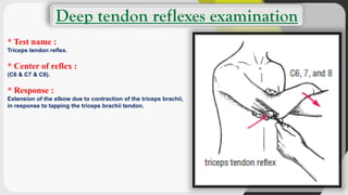 Skill lab physiology (motor examination tests) | PPT