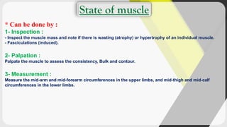 Skill lab physiology (motor examination tests) | PDF