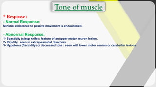 Skill lab physiology (motor examination tests) | PDF
