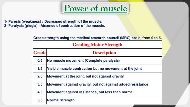 Skill lab physiology (motor examination tests)
