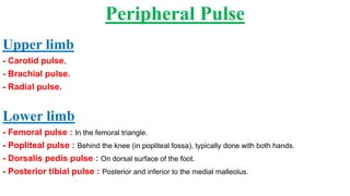 Skill lab 1 (taking pulses) | PDF