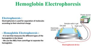 Skill lab (hematology, physiology, microbiology, biochemistry) | PDF