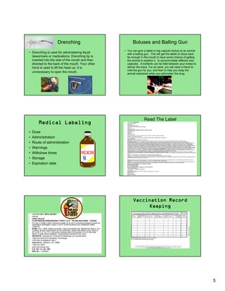 Skills lab | PDF