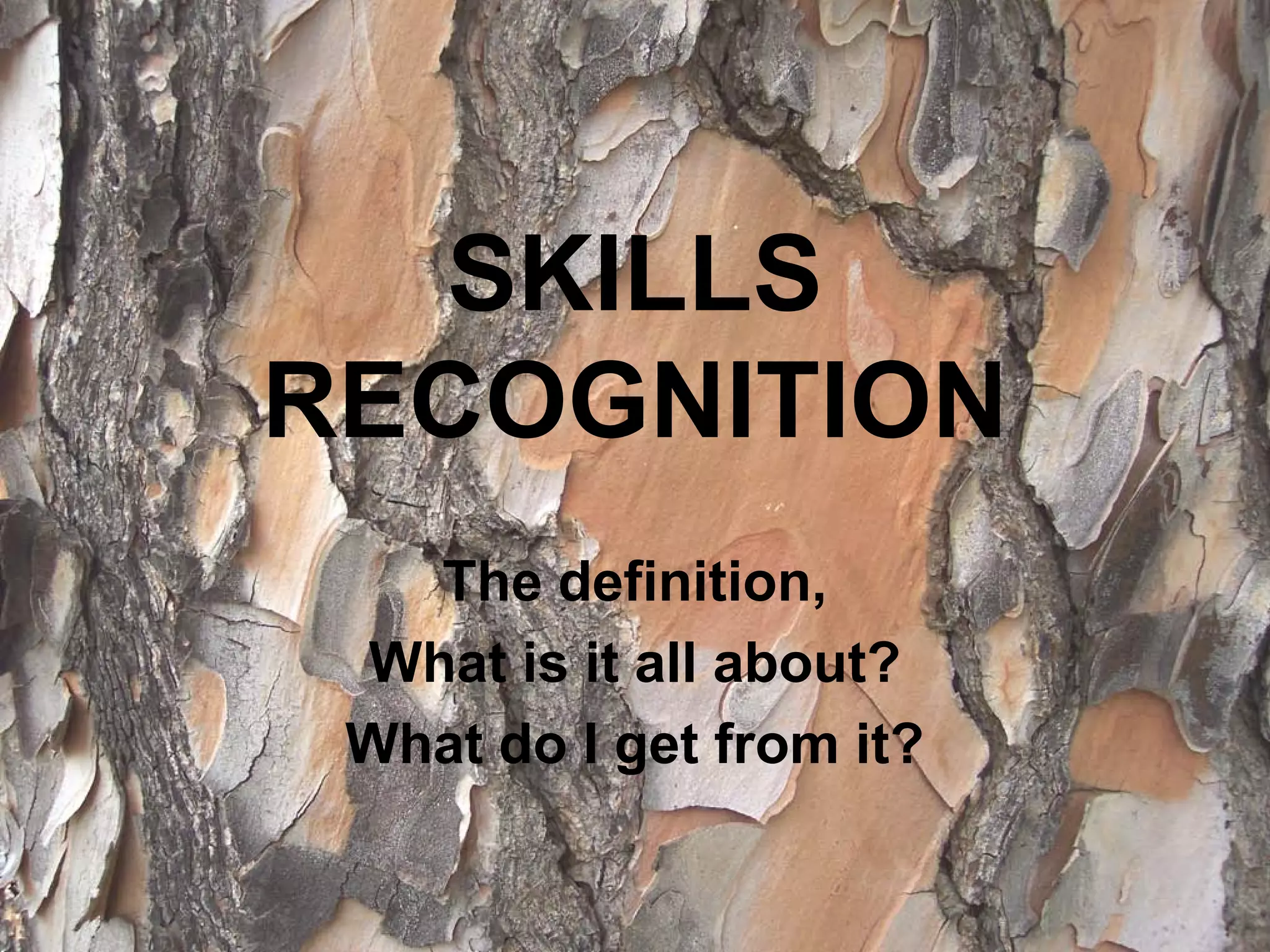 Skills Recognition slide show | PDF