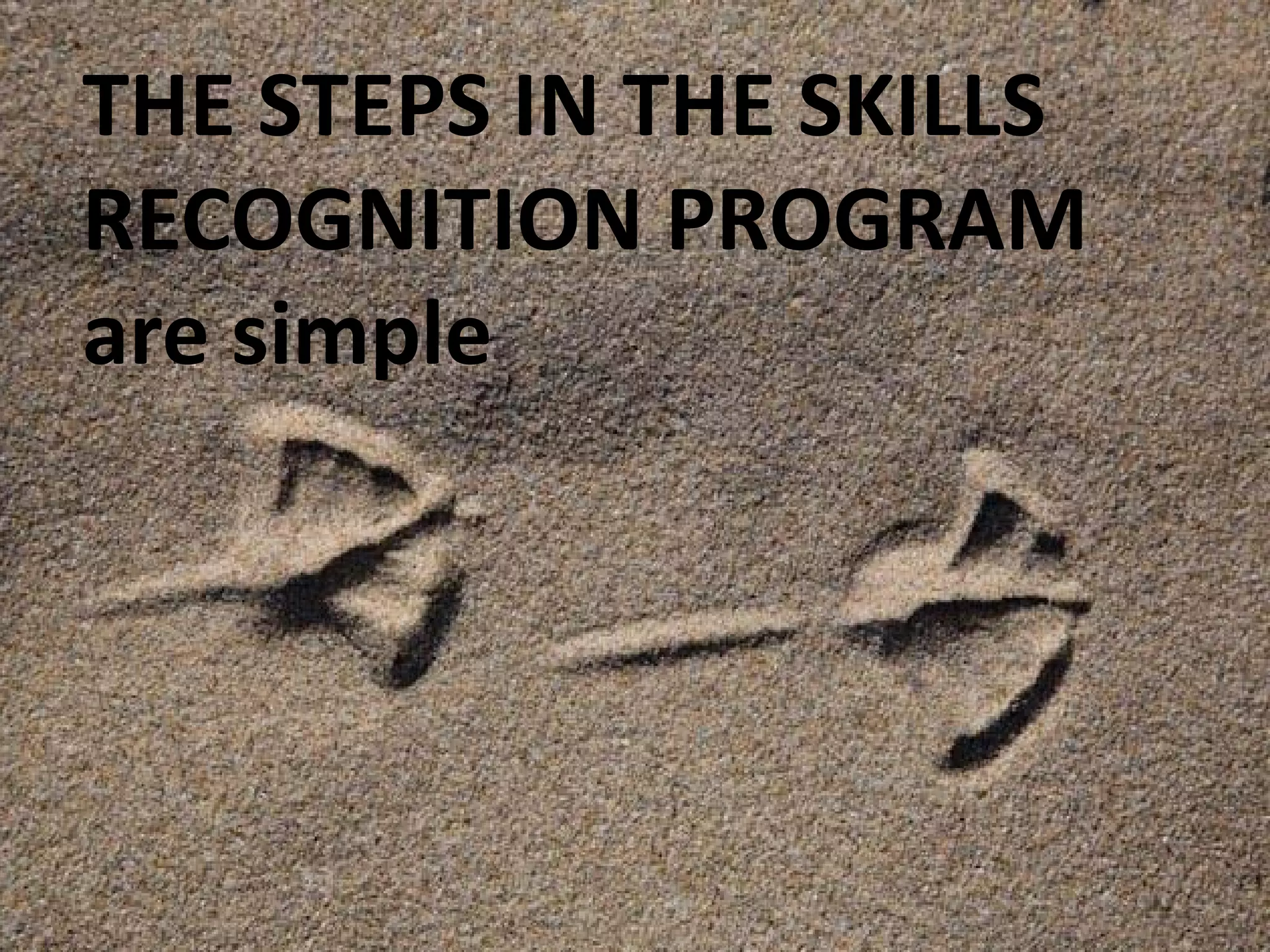Skills Recognition slide show | PDF