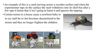 Kinds of behavior in animals innate behaviors and learned behaviors | PPTX