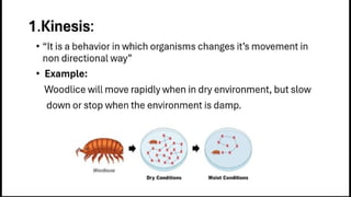 Kinds of behavior in animals innate behaviors and learned behaviors | PPTX