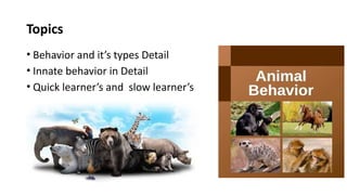 Kinds of behavior in animals innate behaviors and learned behaviors | PPTX