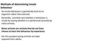 Kinds of behavior in animals innate behaviors and learned behaviors | PPTX