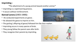 Kinds of behavior in animals innate behaviors and learned behaviors | PPTX