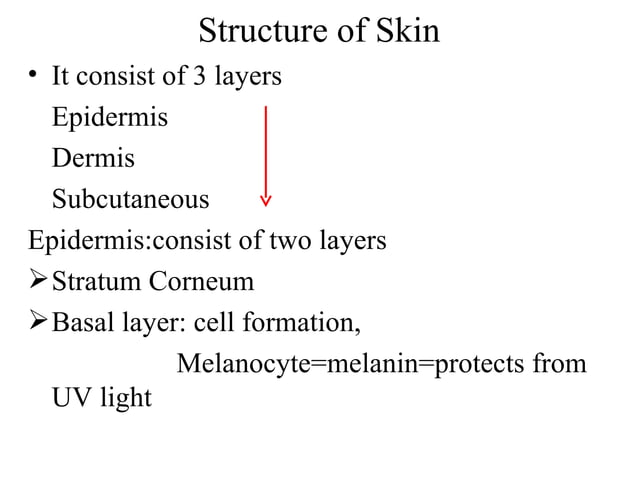 Skin(Integumentary System) | PPT