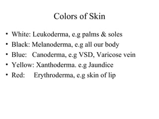 Skin(Integumentary System) | PPT