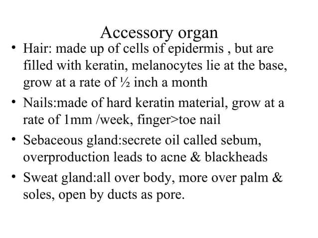 Skin(Integumentary System) | PPT