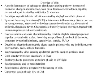 Skin(Integumentary System) | PPT