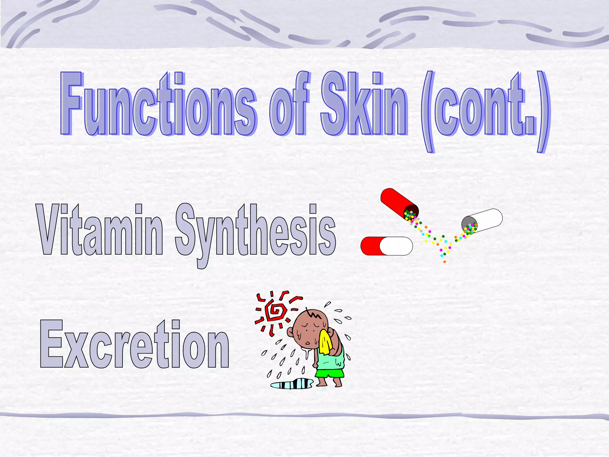 Skin | PPT