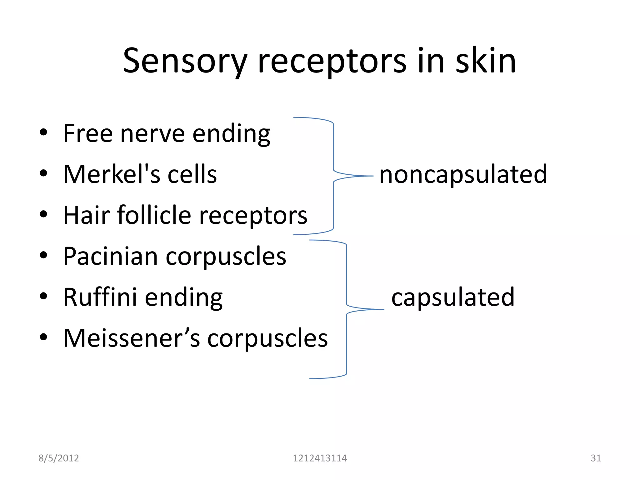 Skin and its appendages | PPTX