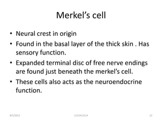 Skin and its appendages | PPTX