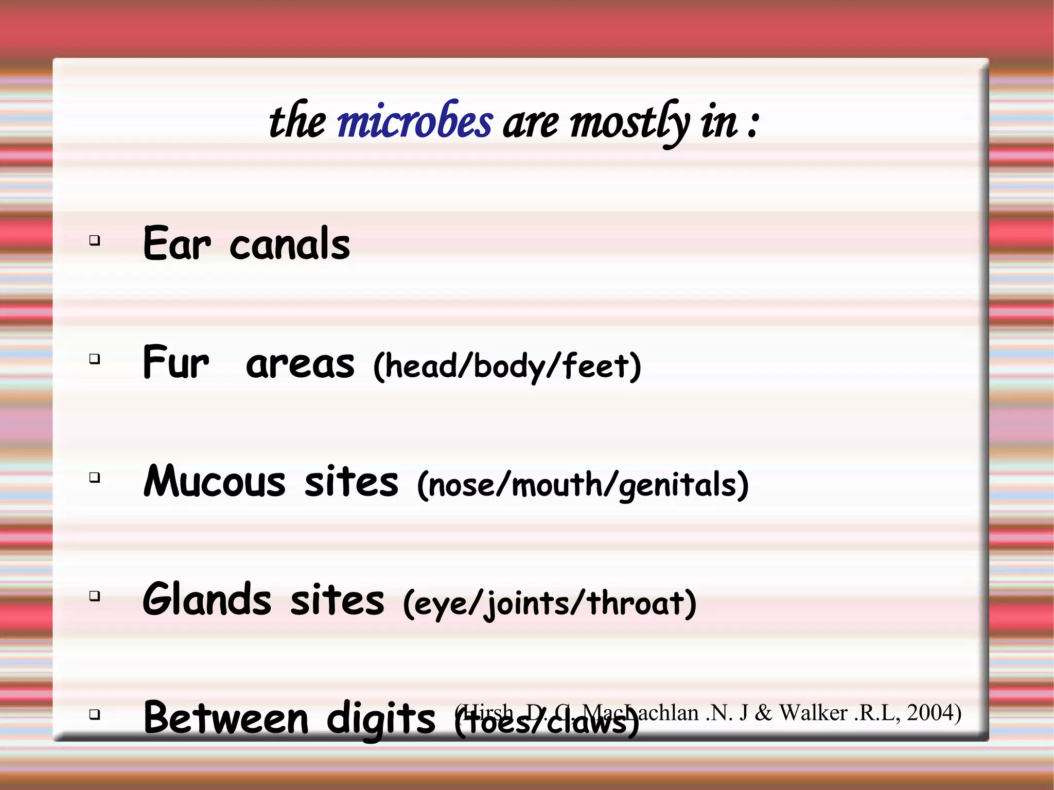 Microbes: Animal Skin | PPT