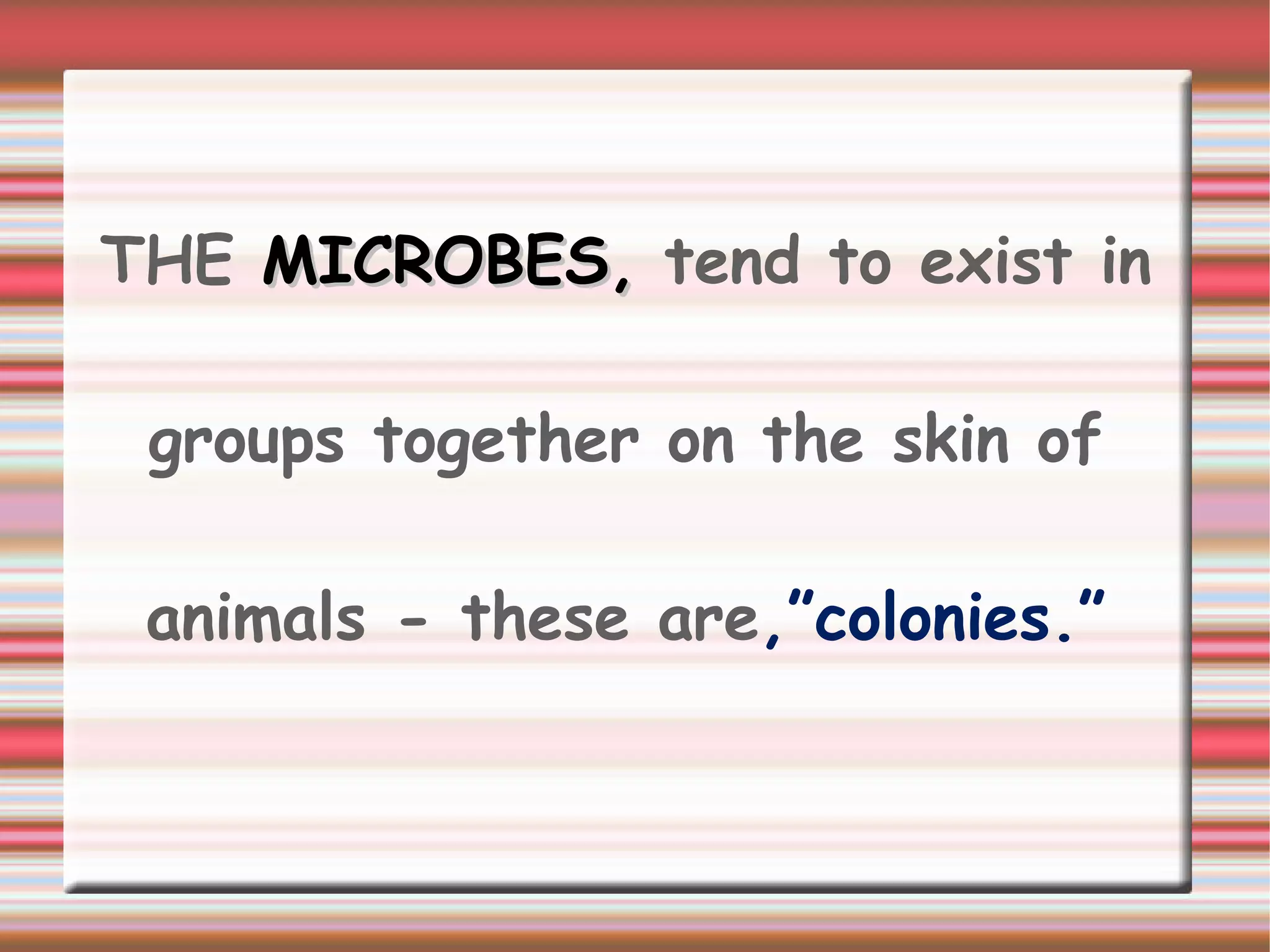 Microbes: Animal Skin | PPT