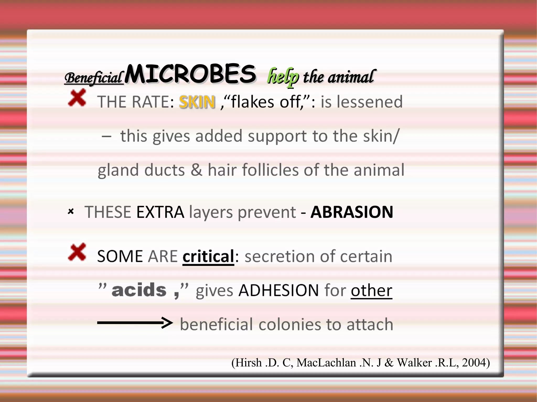 Microbes: Animal Skin | PPT
