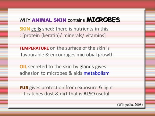 Microbes: Animal Skin | PPT