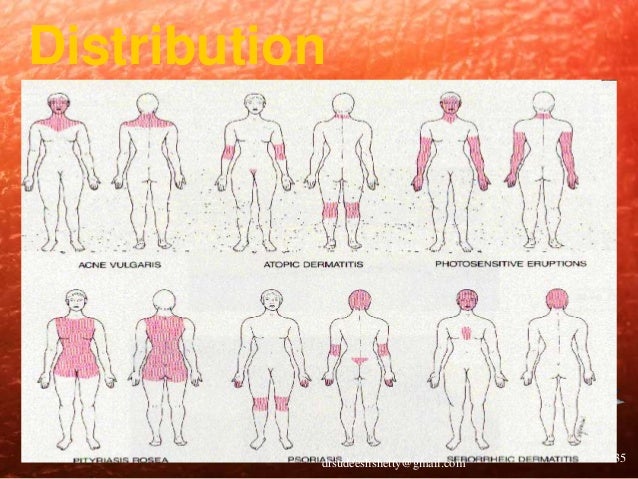 Skin Examination