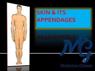 Skin & its appendages | PDF