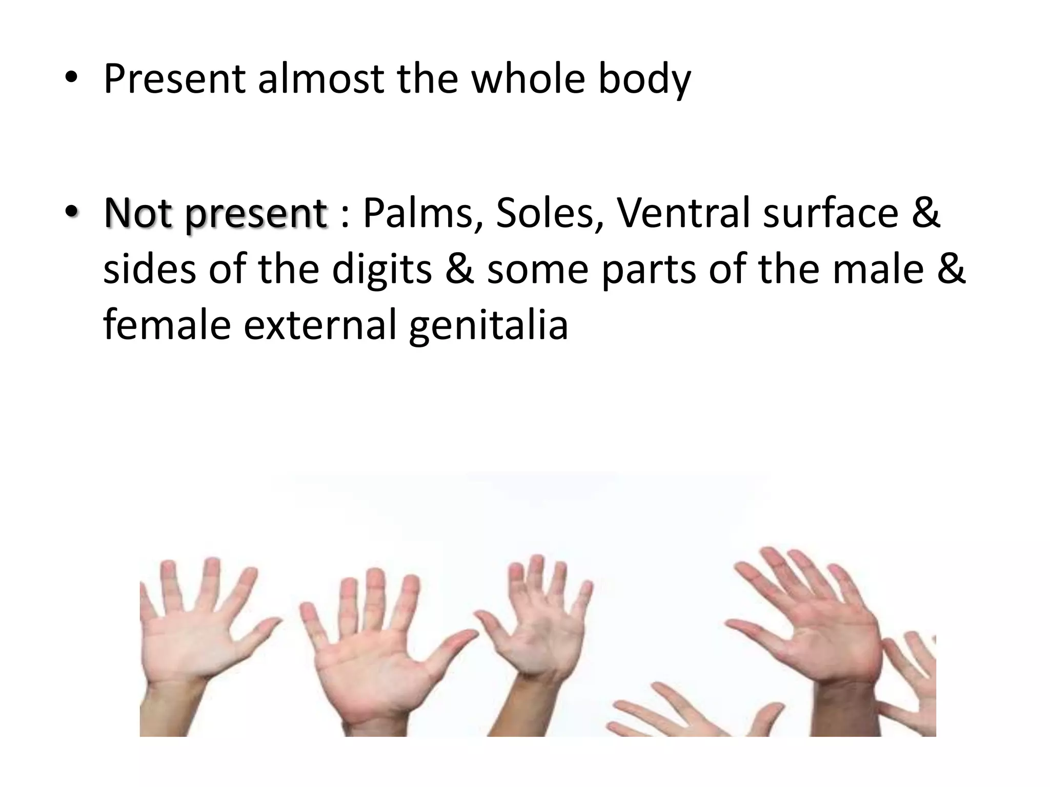 Skin Histology | PPTX